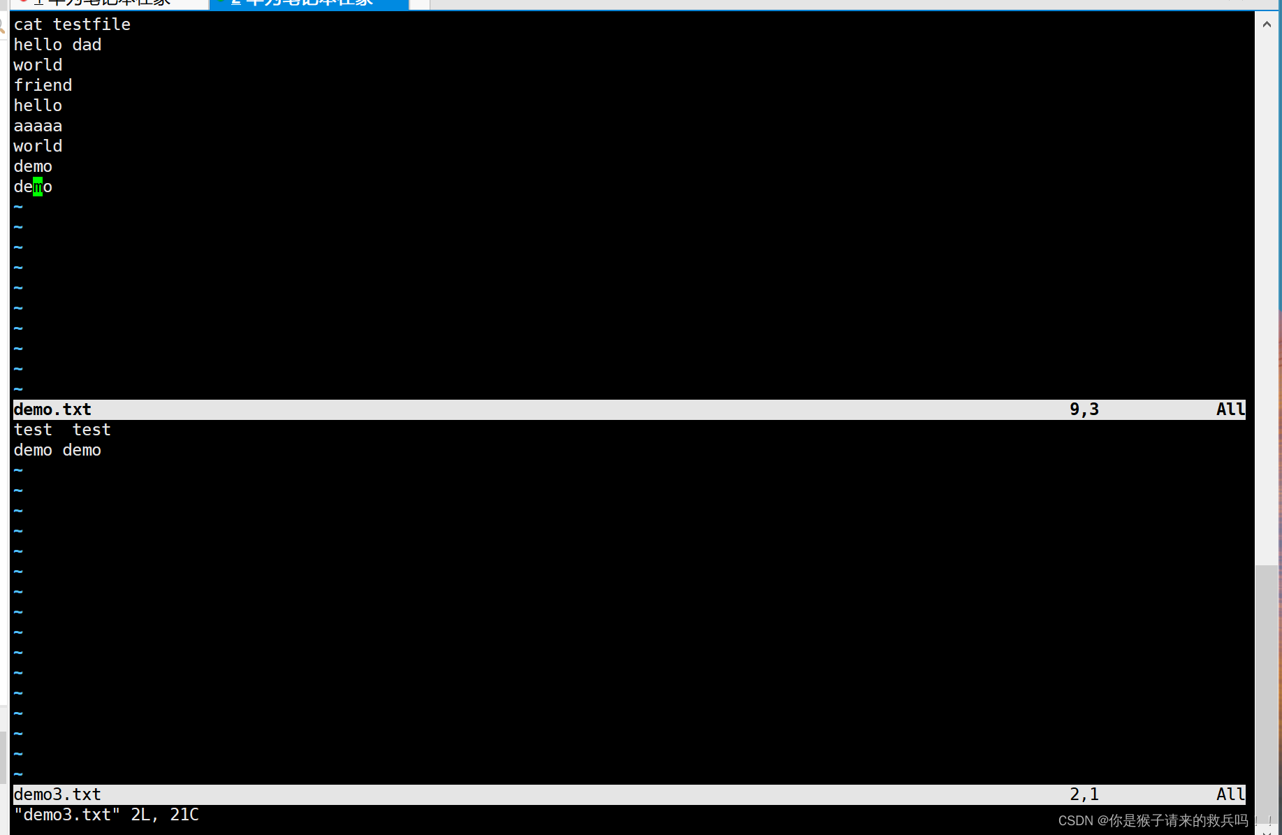 linux - vim常用操作_linux中vim文件和终端同时存在-CSDN博客