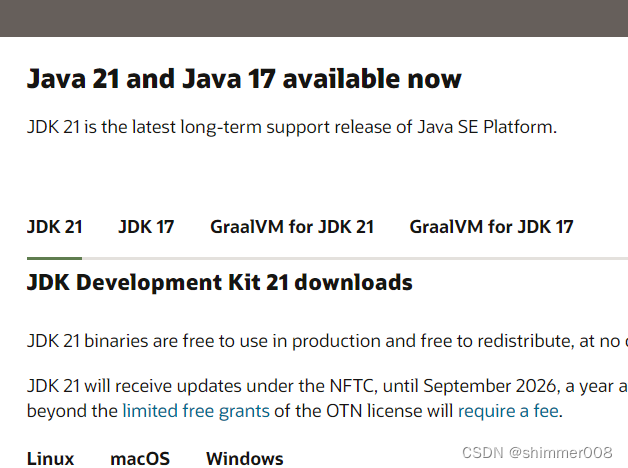 java初学者必知_java11 和 java21-CSDN博客