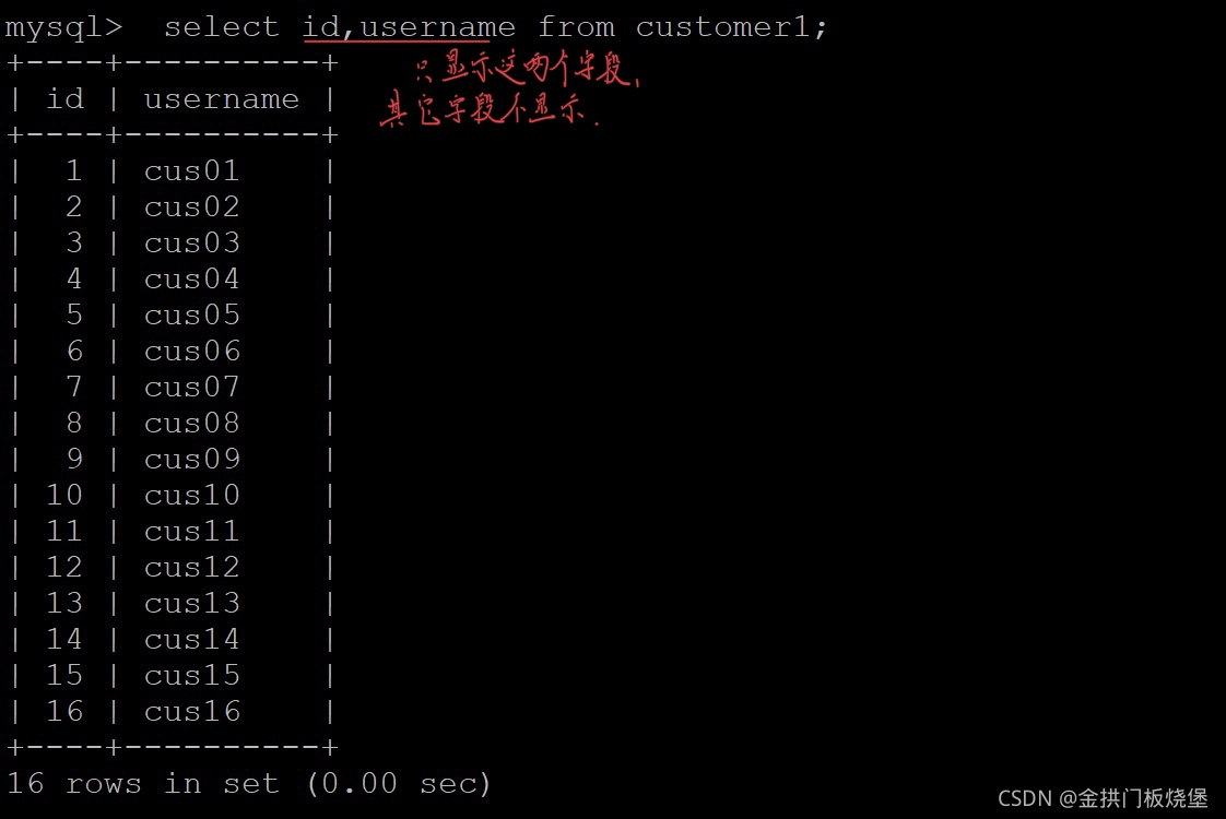 【笔记】MySQL_mysql execute-CSDN博客