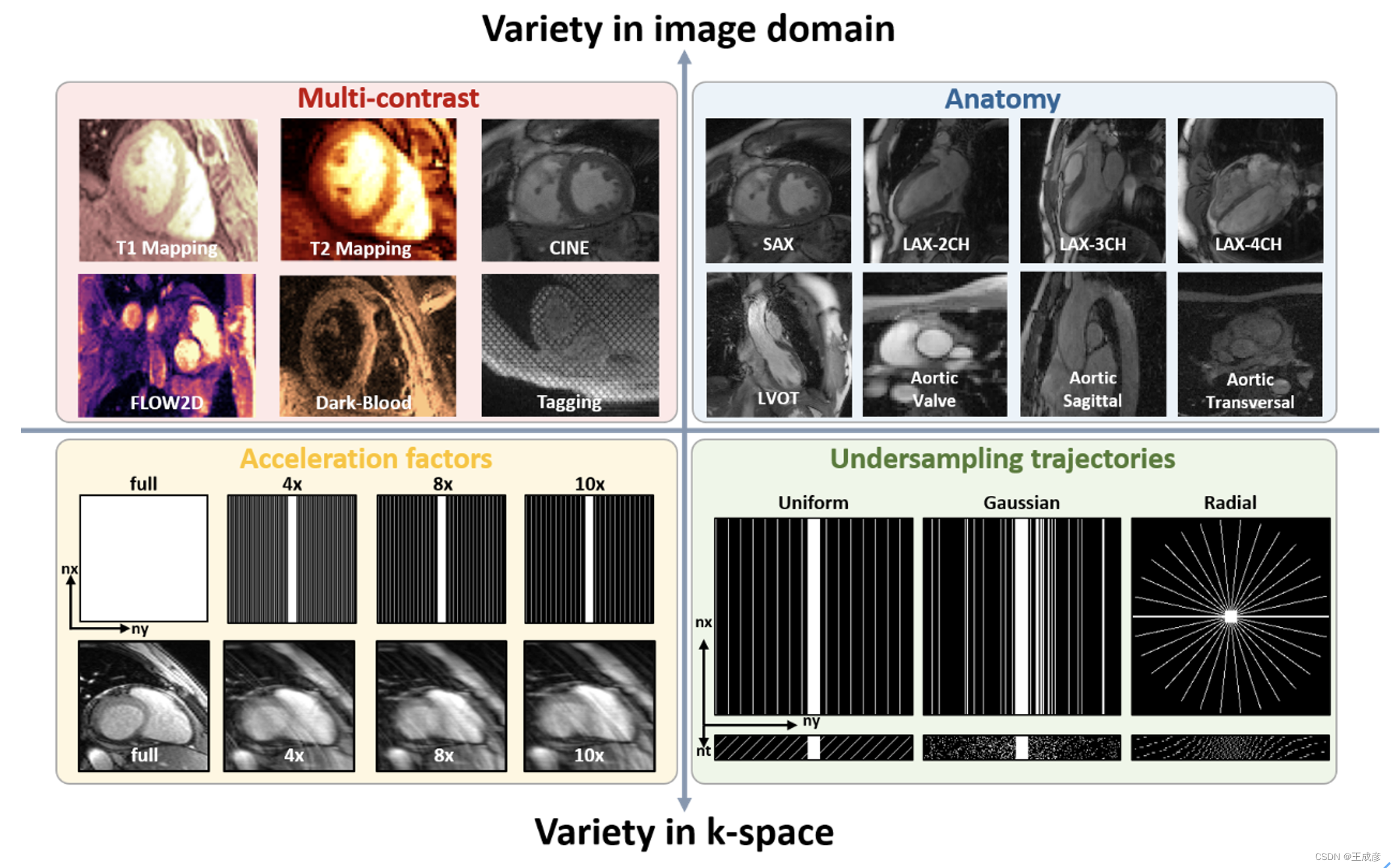 欢迎大家参加MICCAI CMRxRecon2024 心脏快速成像(通用重建AI大模型)挑战赛！_miccai2024-CSDN博客