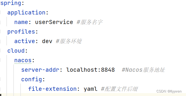 nacos--java.lang.NullPointerException_nacos启动空指针-CSDN博客