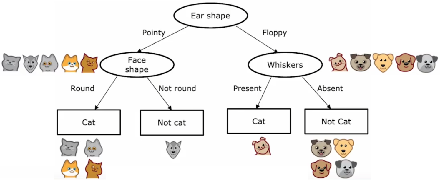 Course2-Week4-决策树_take a decision tree learning-CSDN博客