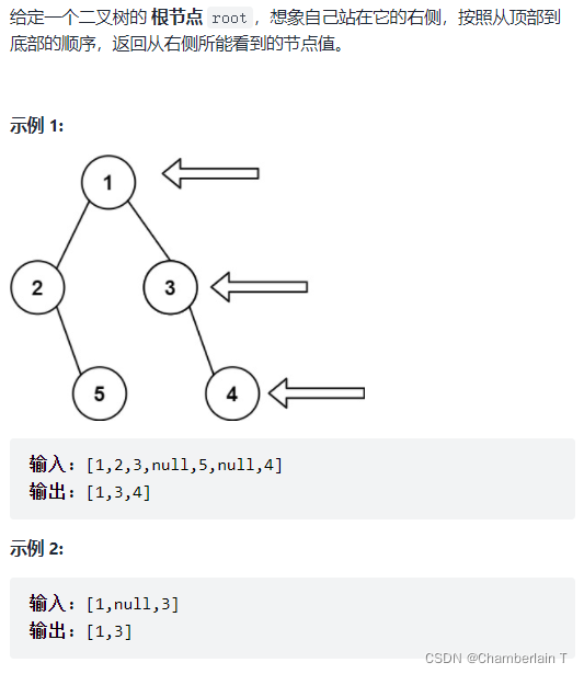 Leetcode199 二叉树的右视图 Csdn博客