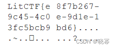 【2024】LitCTF_2024litctf-CSDN博客
