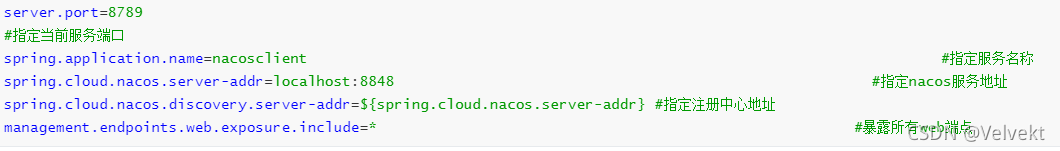 com.alibaba.nacos.api.exception.NacosException: failed to req API:/api//naco异常已解决_spring cloud ...