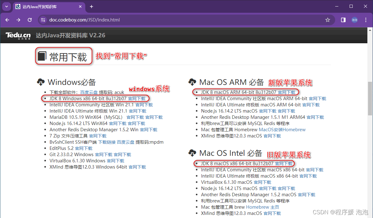 Java环境准备：JDK与IDEA_doc.codeboy-CSDN博客