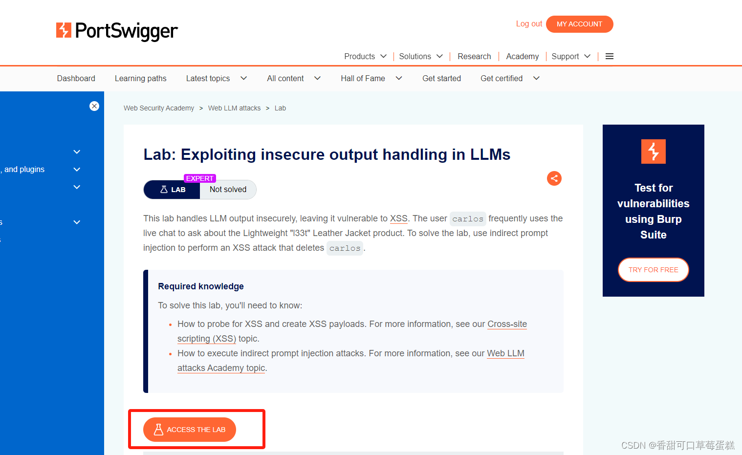 Web LLM 攻击实验：利用 LLM 中不安全的输出处理_llm不安全的输出处理-CSDN博客
