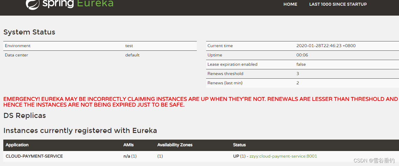 Eureka服务注册与发现_eureka fetch-registry-CSDN博客