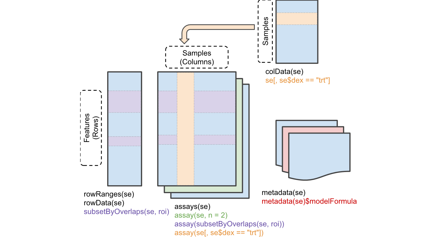 SummarizedExperiment 对象访问、操作和转换_summarizedexperiment转换到list格式-CSDN博客