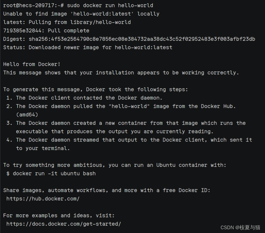 Linux下的Docker安装，以Ubuntu为例_linux unbuntu安装启动docker-CSDN博客