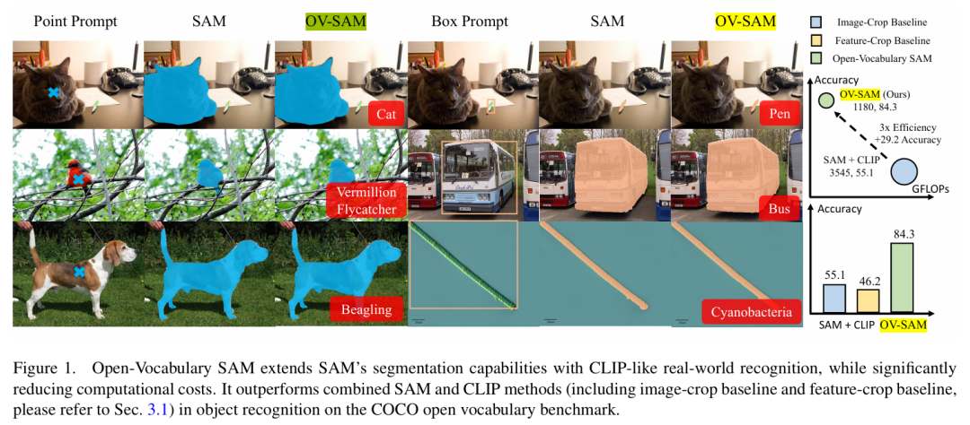 ECCV 2024 | SAM再升级！分割和识别2.2万种类别！OV-SAM：交互式分割和识别22,000 种类别！...-CSDN博客