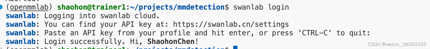 目标检测框架mmdetection如何使用swanlab远程查看训练日志_swandb模型训练日志-CSDN博客