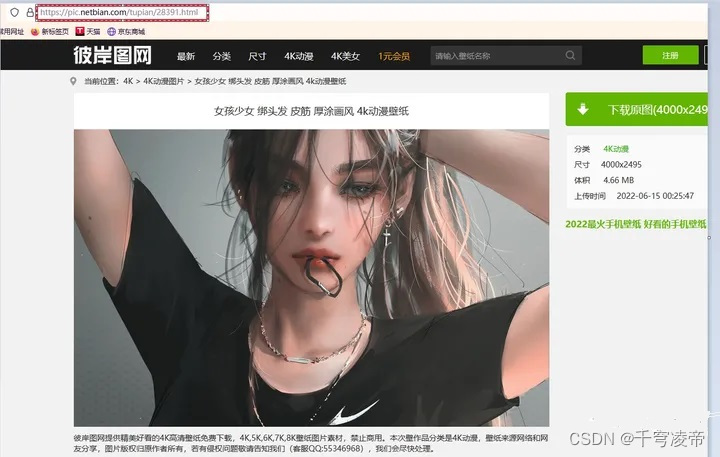 Python爬虫爬取彼岸图网4k图片爬虫彼岸图网4k原图 Csdn博客 
