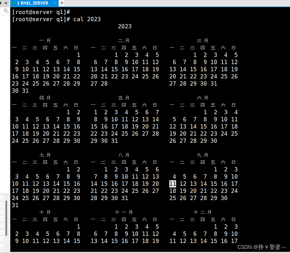 VM-Linux基础操作命令_linux vm命令-CSDN博客