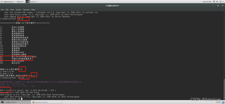 phpstudy linux切换php版本_linux环境变量php版本切换在哪-CSDN博客