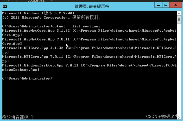 ASP.Core3.1 WebAPI 发布到IIS_netcoreapp3.1-CSDN博客