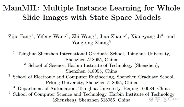 Mamba再下一城！清华提出MamMIL：使用状态空间模型对WSI进行多示例学习_mammil: multiple instance learning for whole slide-CSDN博客