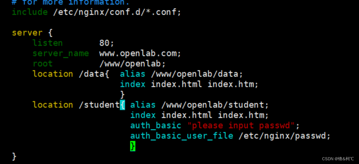 构建OpenLab网站：步骤指南与安全设置,-CSDN博客