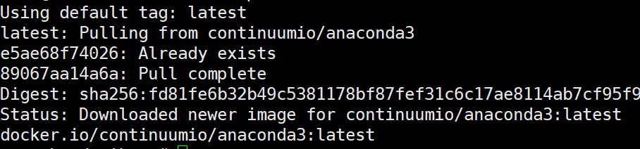 在线vscode code-server+anaconda打造在线python虚拟环境切换使用_code-server conda docker-CSDN博客