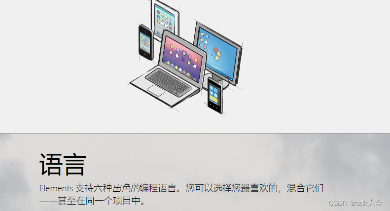 RemObjects Elements 12.0 Crack_remobjects elements下载-CSDN博客
