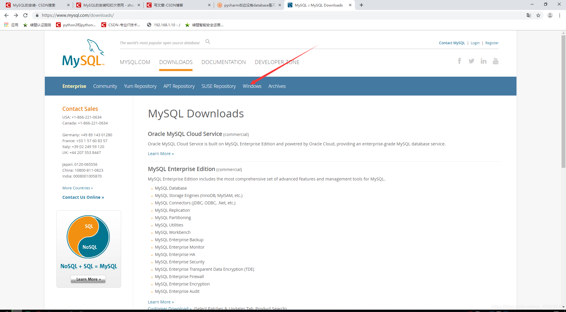 MySQL的安装（Windows）_server only client only-CSDN博客