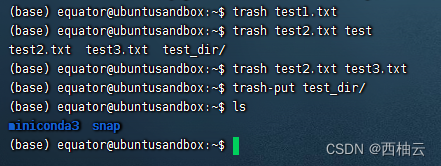 《数据保护指南-上》——前言与trash命令-CSDN博客