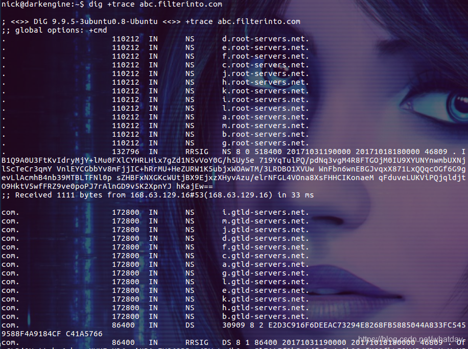 linux dig 命令使用方法_dig short-CSDN博客