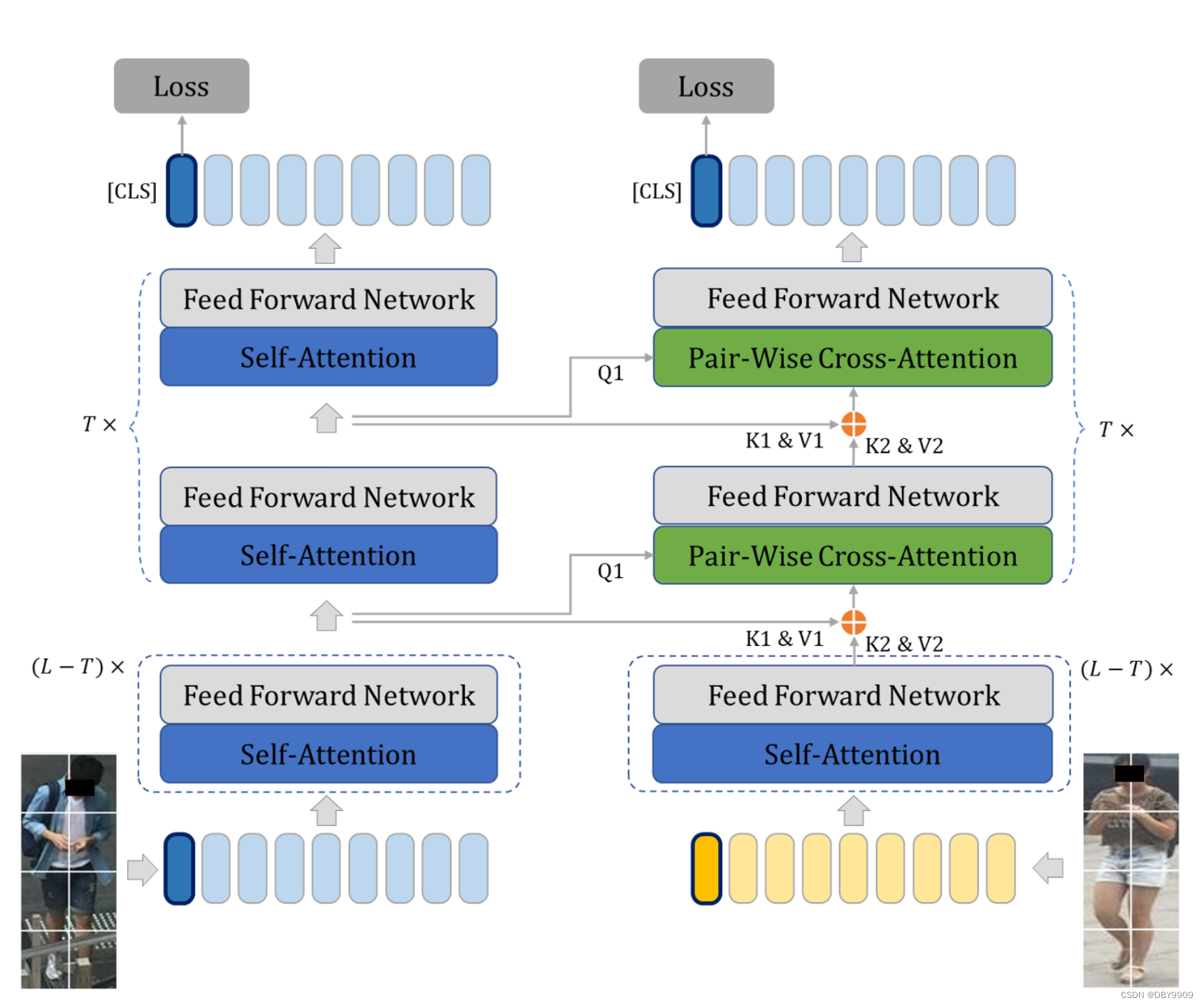 2022_CVPR_DCAL_笔记_dual cross-attention learning for fine-grained vis-CSDN博客