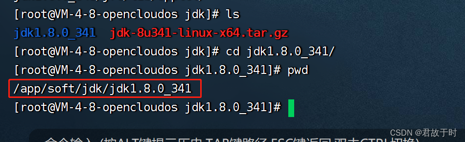 在腾讯云服务器OpenCLoudOS系统中安装jdk（有图详解）_opencloudos 安装jdk-CSDN博客