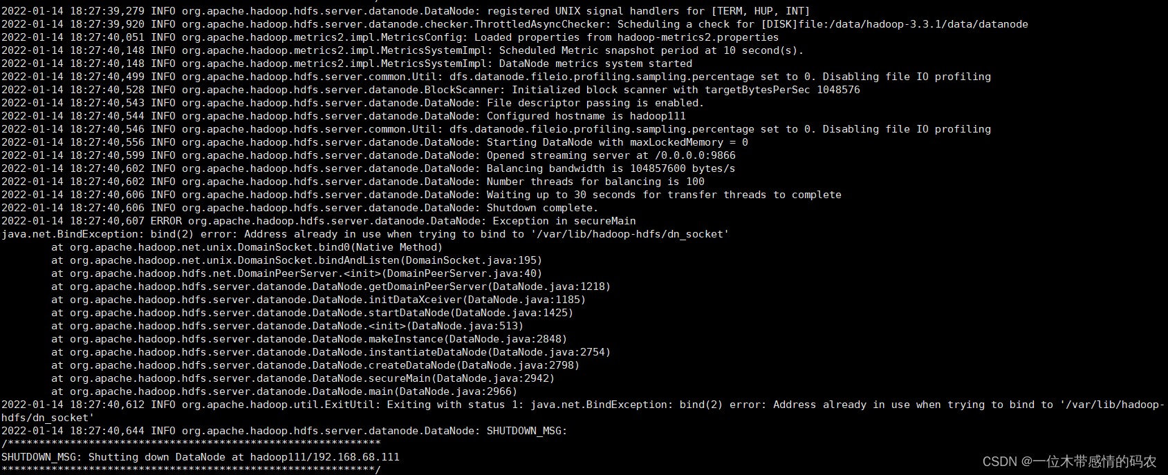 ERROR org.apache.hadoop.hdfs.server.datanode.DataNode: Exception in secureMain-CSDN博客