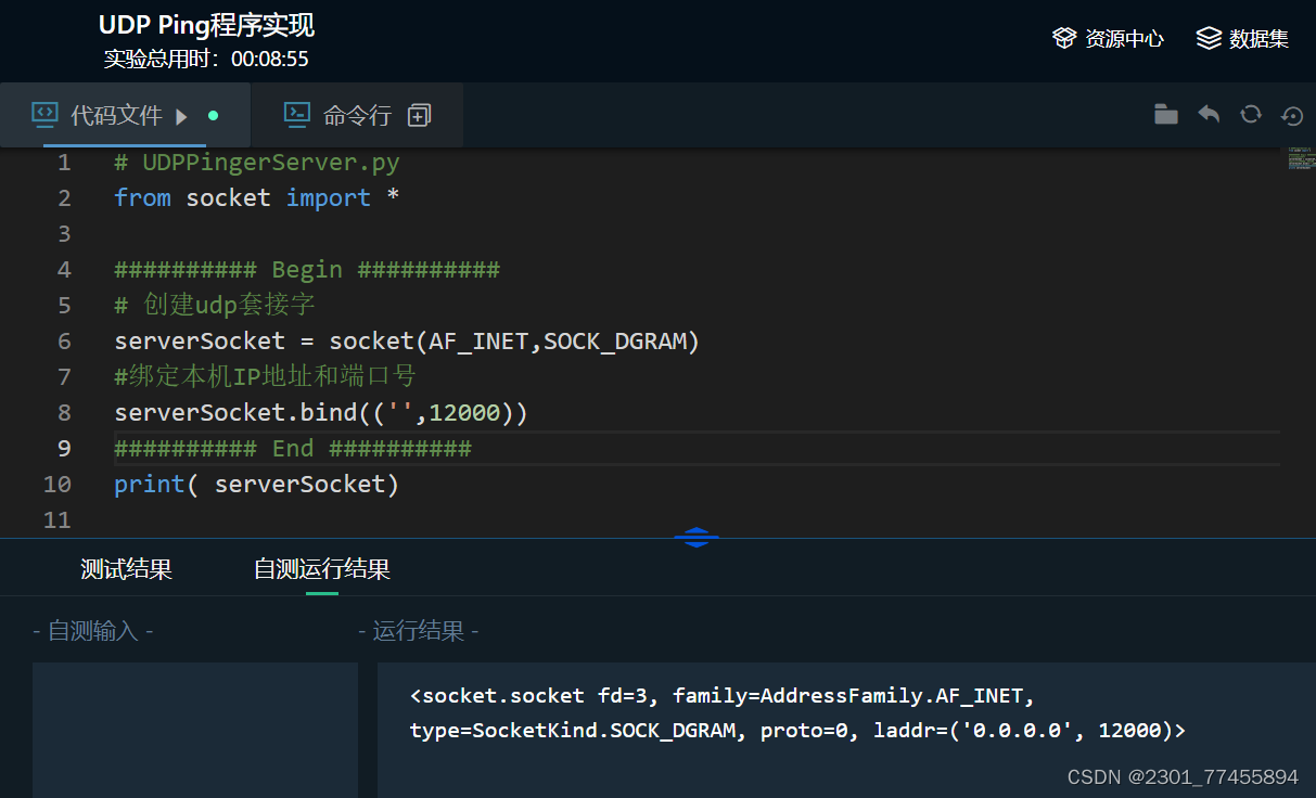 UDP Ping实验报告-CSDN博客