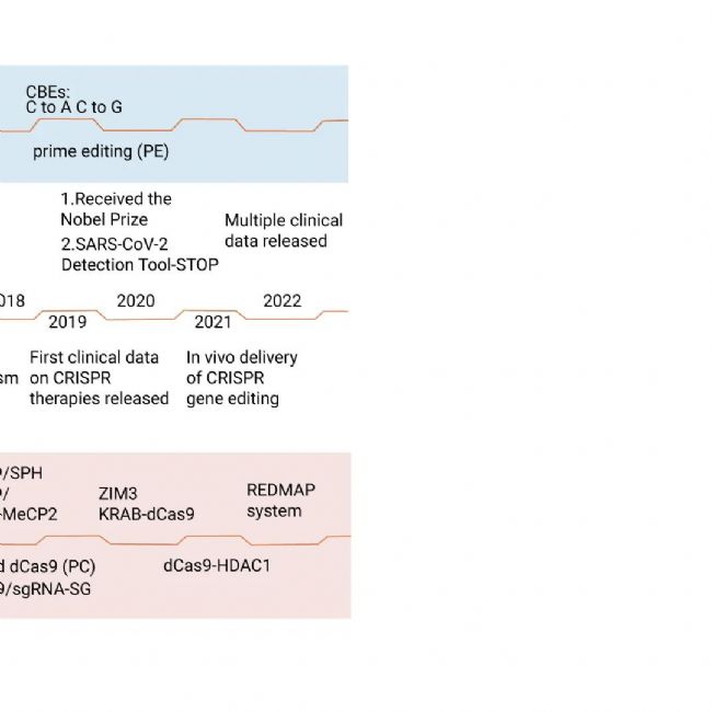 CRISPR Cas 基因编辑技术及其应用 | MedChemExpress（MCE）_crispr cas9 敲除hsp90-CSDN博客