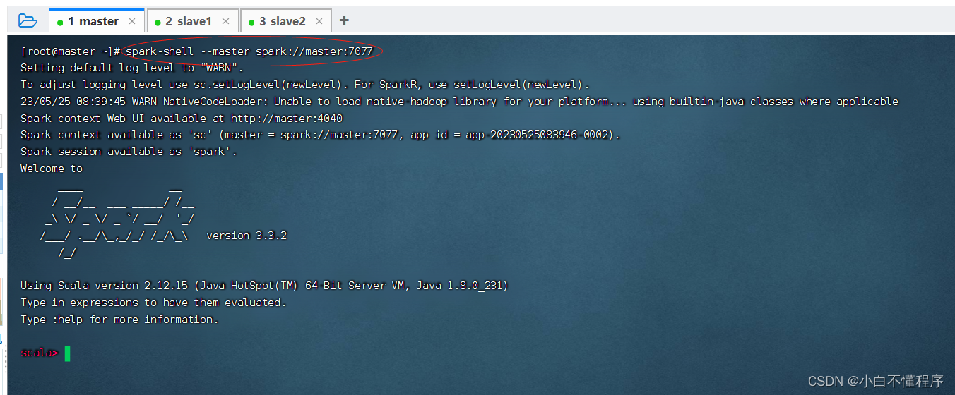 大数据实时处理4.2 Spark SQL数据源 - 基本操作_数据同步 spark sql util-CSDN博客