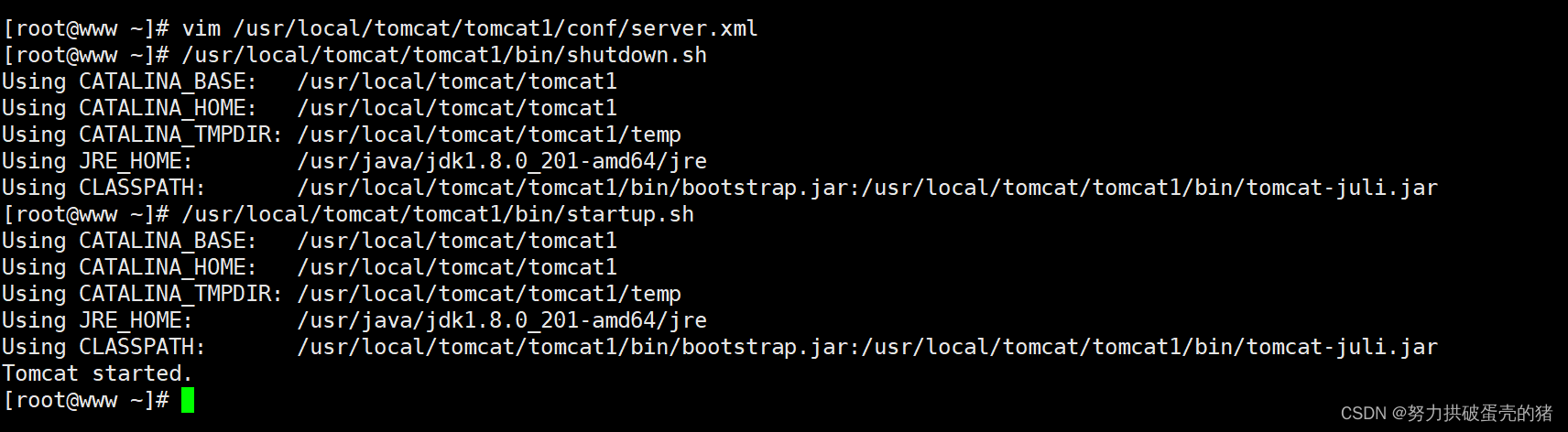 Nginx+Tomcat实现负载均衡、动静分离_tomcat nginx-CSDN博客
