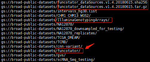 VCF vs Maf | 变异注释及整理为Maf格式-CSDN博客