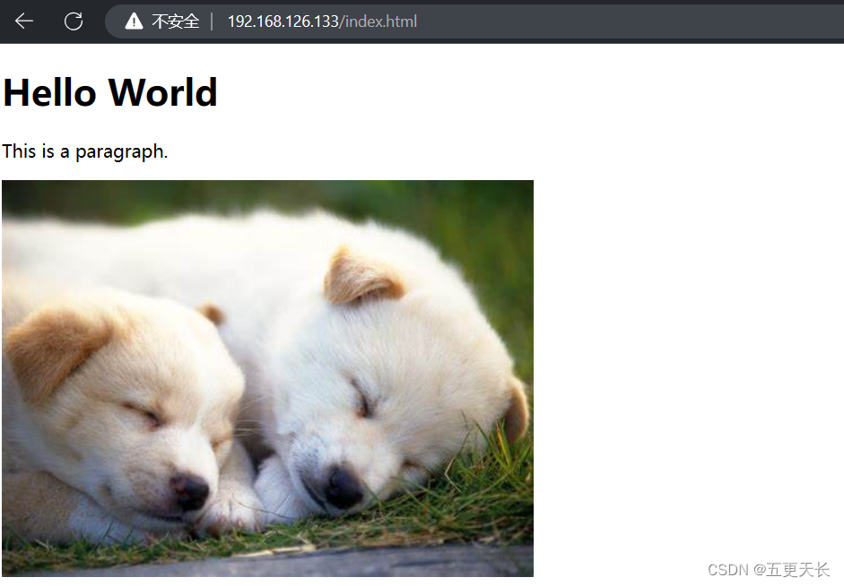 Nginx实现动静分离 详细nginx动静分离 指定tomcat网站目录 Csdn博客