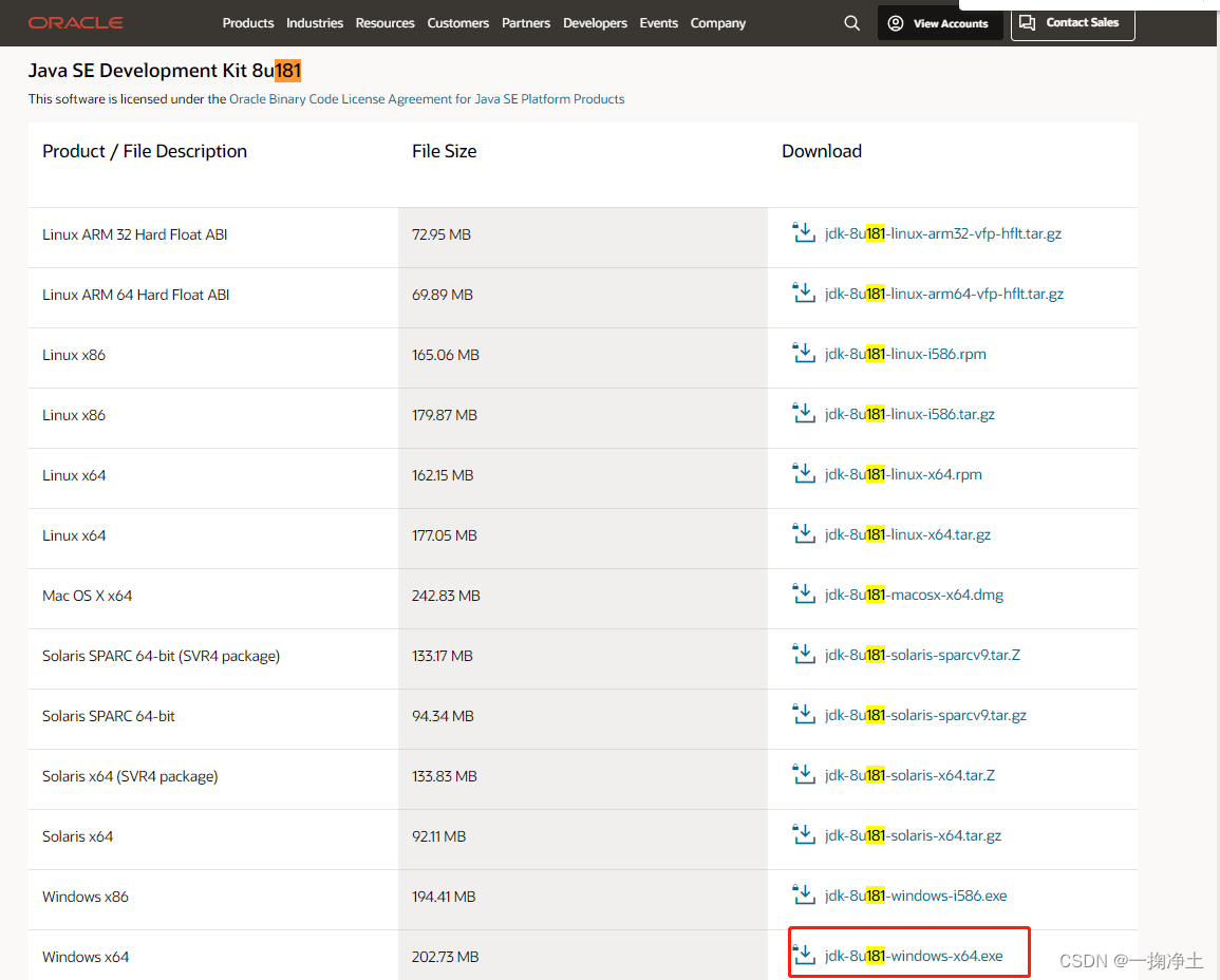 Java项目热部署方案之IDEA-HotSwapAgent和DCEVM大法_dcevm 安装-CSDN博客