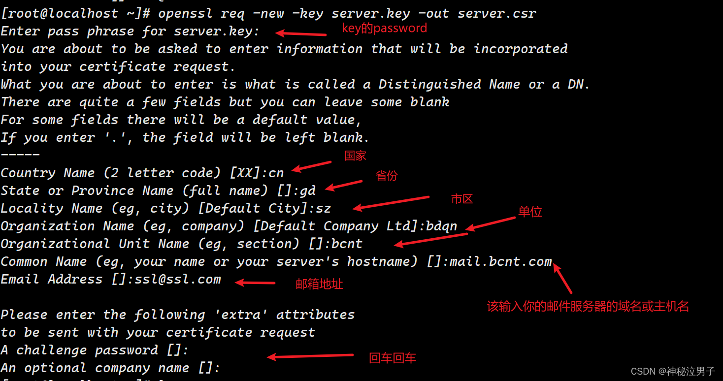 linux centos7中使用 Postfix 和Dovecot搭建邮件系统_centos部署开源邮箱系统-CSDN博客