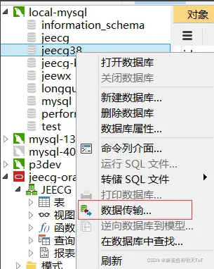 Navicat工具mysql转库Oracle步骤_mysql_麻雀也有明天TuT-魔乐社区