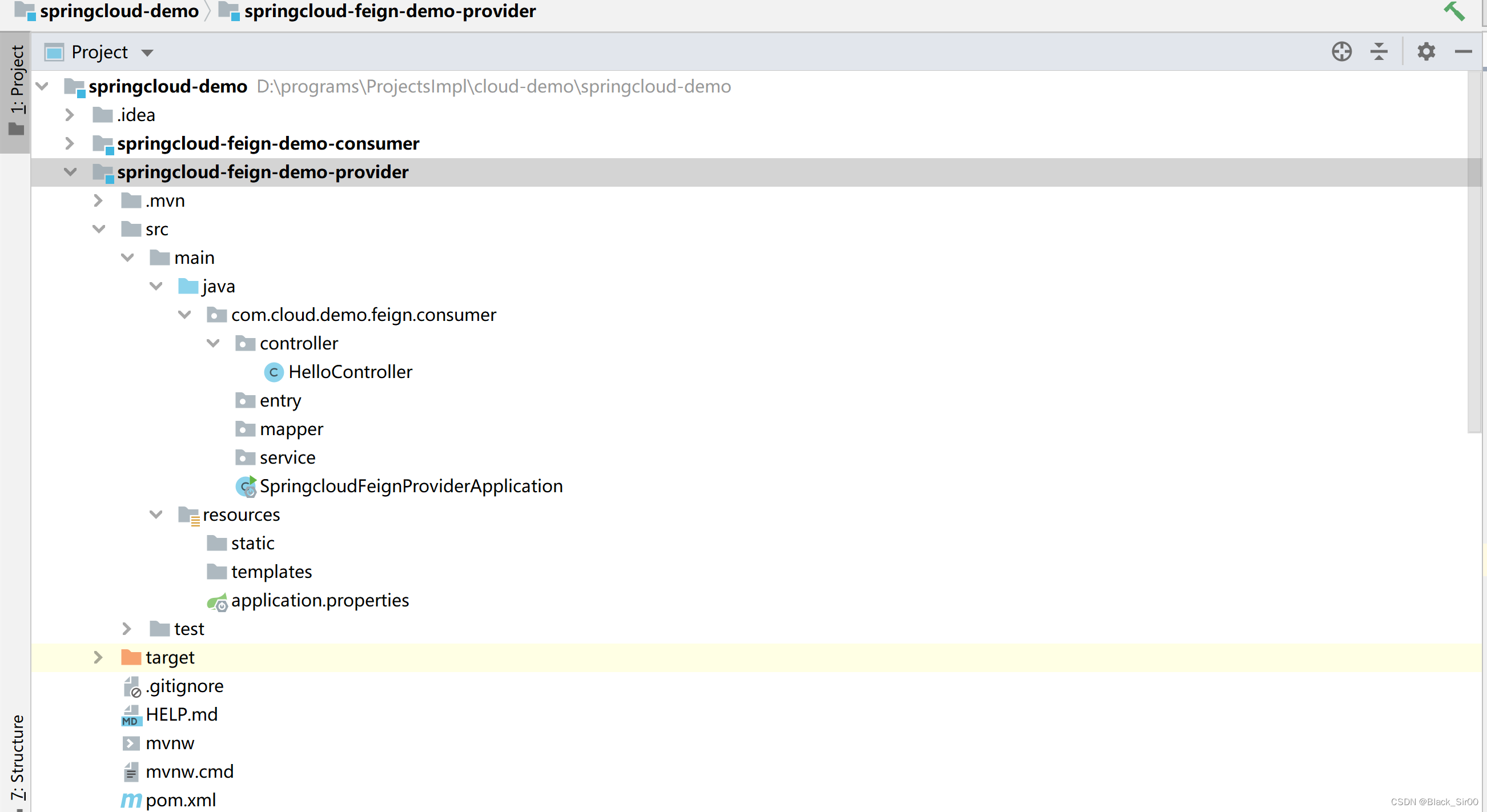 SpringCloud-Consul+Feign项目_fegin consul-CSDN博客
