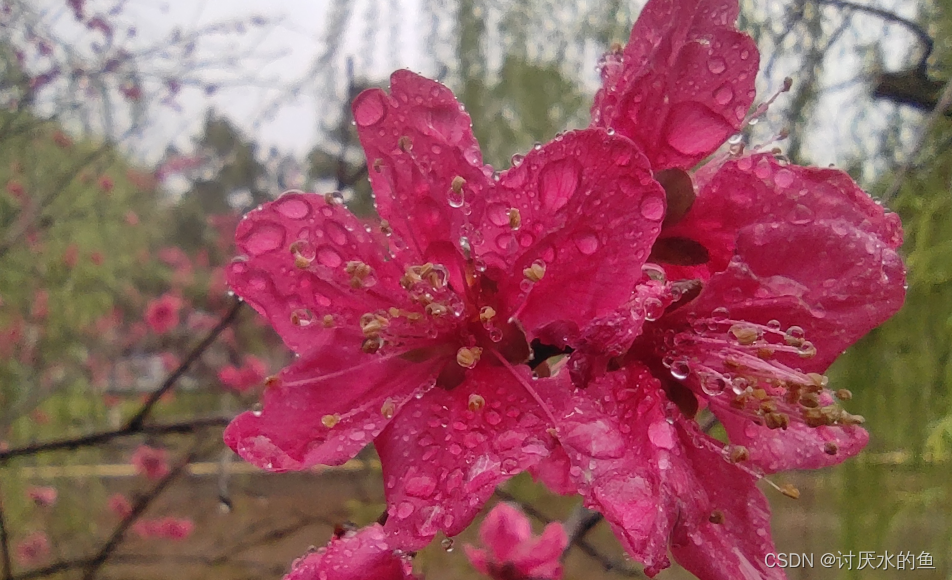 【Matlab】在Simulink中仿真Clarke变换-CSDN博客