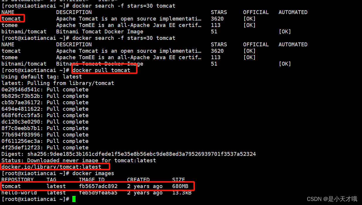 Docker-常用命令-CSDN博客