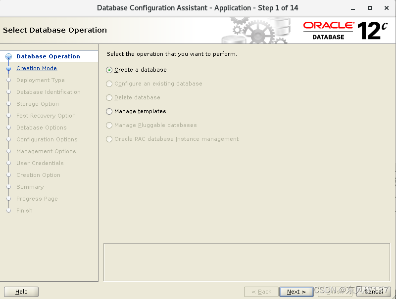在Oracle12c rac集群中使用dbca图形化创建数据库时需要设置数据块大小，应该在目录的那一步找到定制数据库_oracle 12c dbca-CSDN博客
