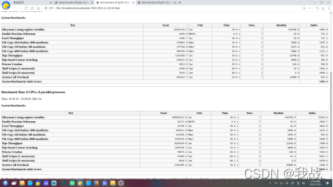 Unixbench的使用（综合性能测试、2D测试）和问题解决（跑不出多线程分数，调不出窗口，报错等）_unixbench使用方法-CSDN博客