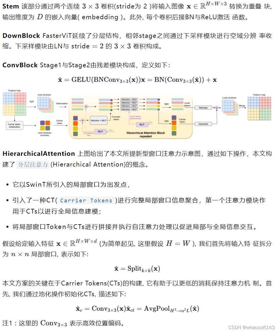 FasterViT-CSDN博客