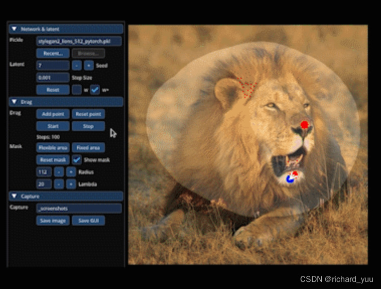 【深度学习】DragGAN_drag gan-CSDN博客
