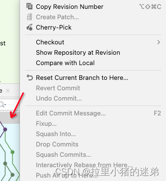 Java、idea-工作中用到的git操作_java git工作中-CSDN博客