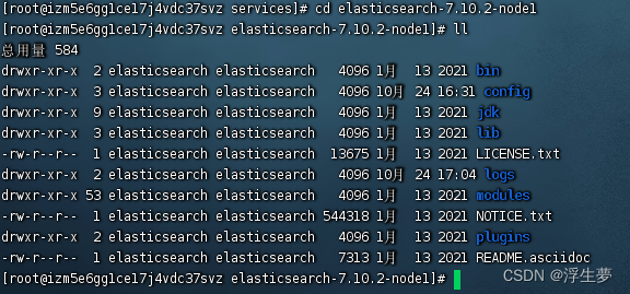 Elasticsearch 7.10.2 部署集群搭建_es 7.10.2 集群部署-CSDN博客